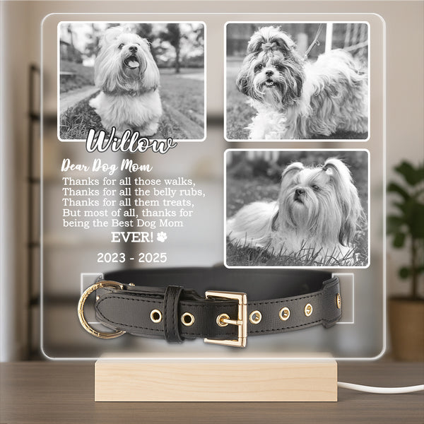 Custom Photo Don't Cry For Me Memorial Acrylic Collar Frame ...