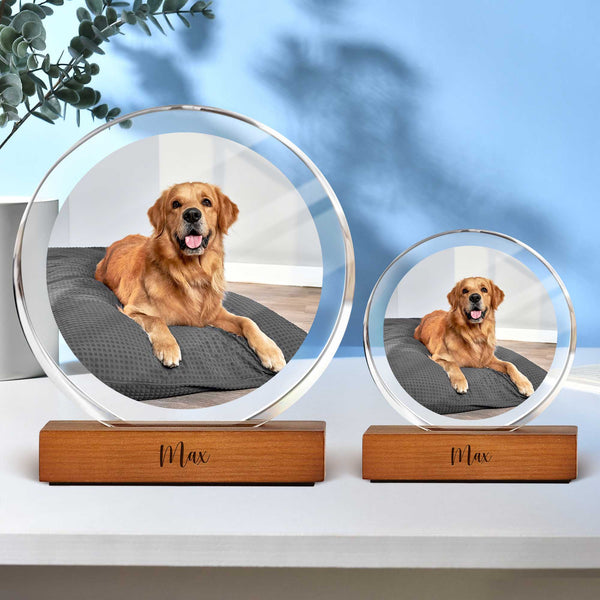 Custom Pet Photo Round Acrylic Frame Block Gift For Dog Lovers, Cat ...
