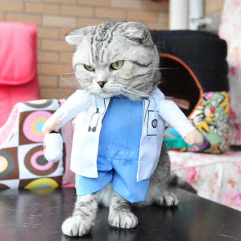 Funny Halloween Clothes Dressing Up Cat Party Costume Suit ...