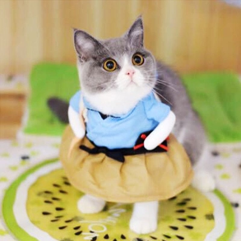 Funny Halloween Clothes Dressing Up Cat Party Costume Suit ...
