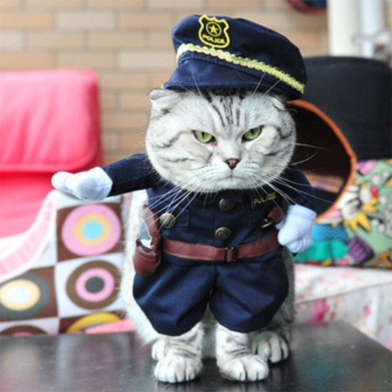 Funny Halloween Clothes Dressing Up Cat Party Costume Suit ...