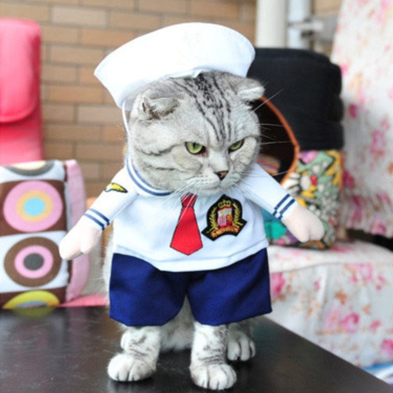 Funny Halloween Clothes Dressing Up Cat Party Costume Suit ...